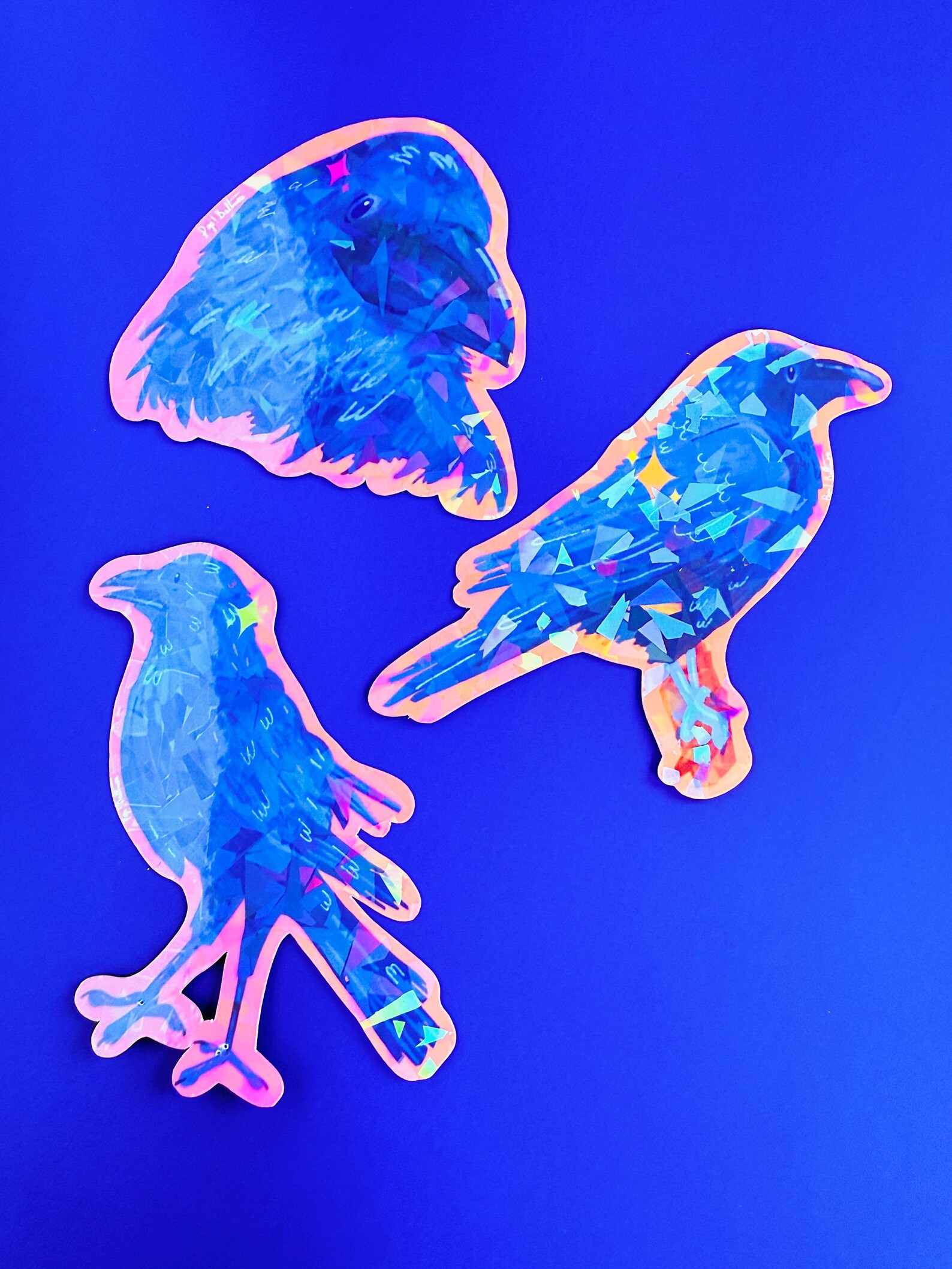 Baltimore Raven Sticker Pack | Hand Illustrated Bird Lover Sticker Pack ...