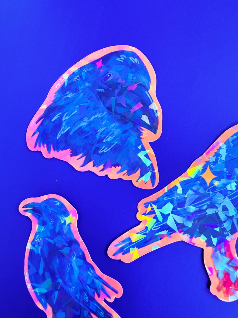 Baltimore Raven Sticker Pack | Hand Illustrated Bird Lover Sticker Pack ...