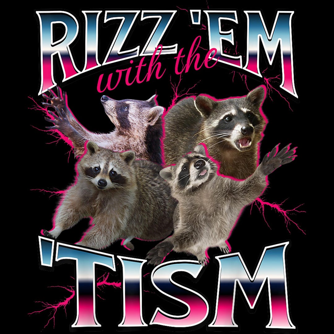 Autism Funny Meme Png,rizz Em With the Tism,autistic Raccoon Design for ...