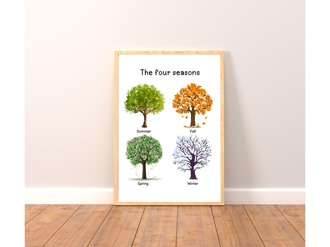 Four Seasons Tree Printable| Seasonal Tree Illustration| Educational ...