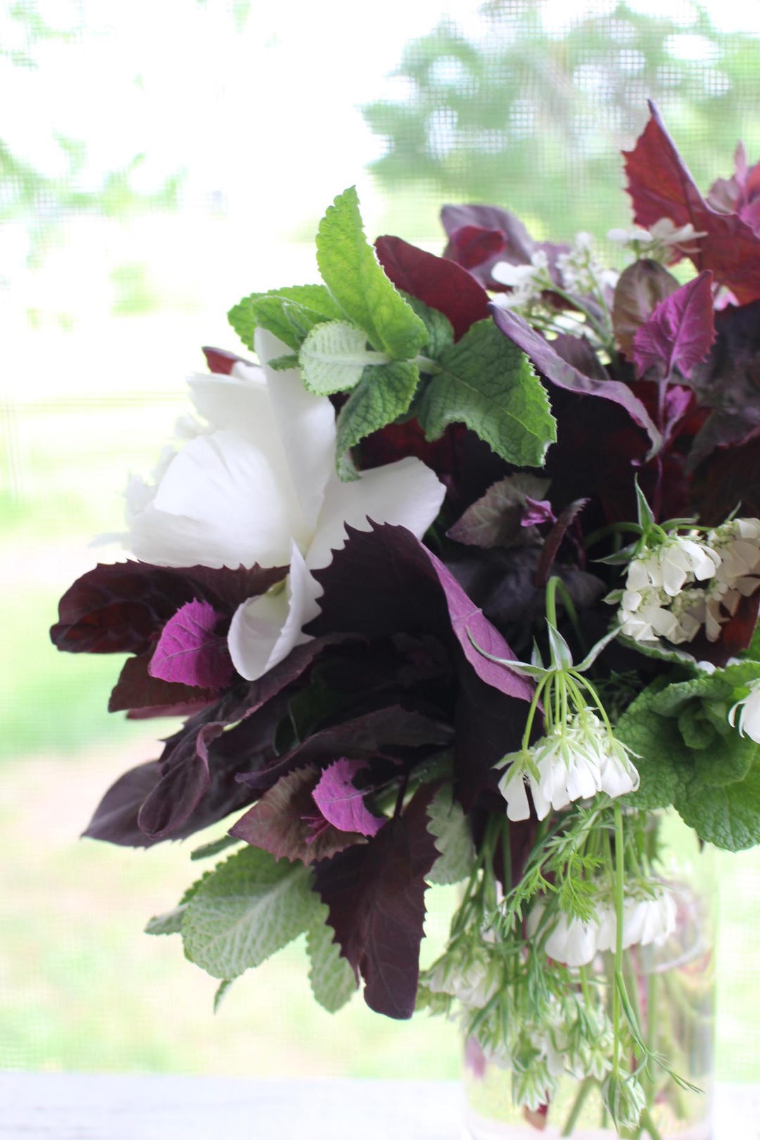 Ruby Red Orach, Organic Garden Edible, Unique Filler for Bouquets ...