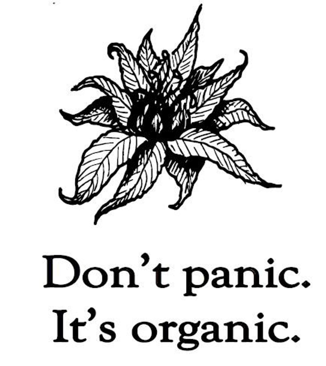 Funny Cannabis Print, Quote, Humorous Marijuana Art Print, Plant Print ...