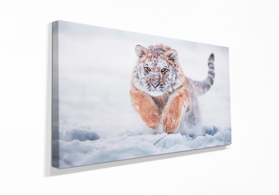 Tiger Art Canvas - Siberian Tiger Art Poster Wall Art Canvas Framed ...