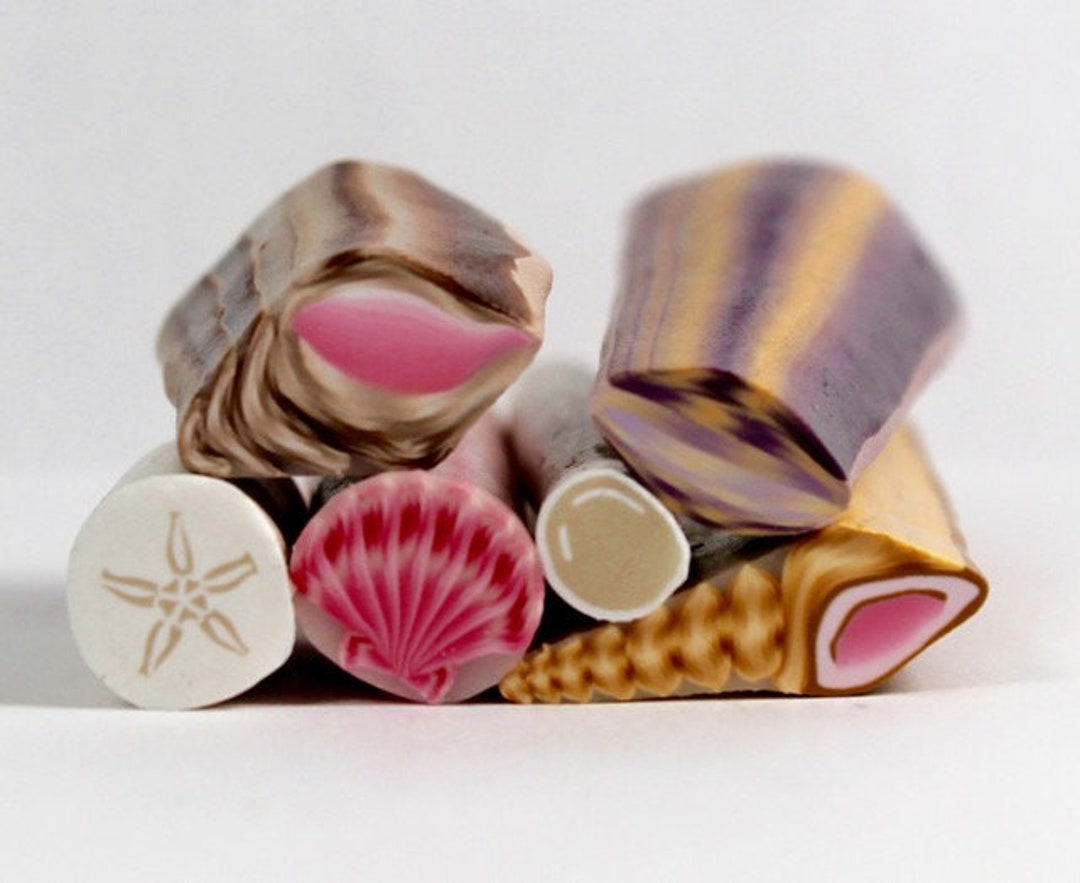 Polymer Clay Sea Shell Canes Tutorial - Etsy