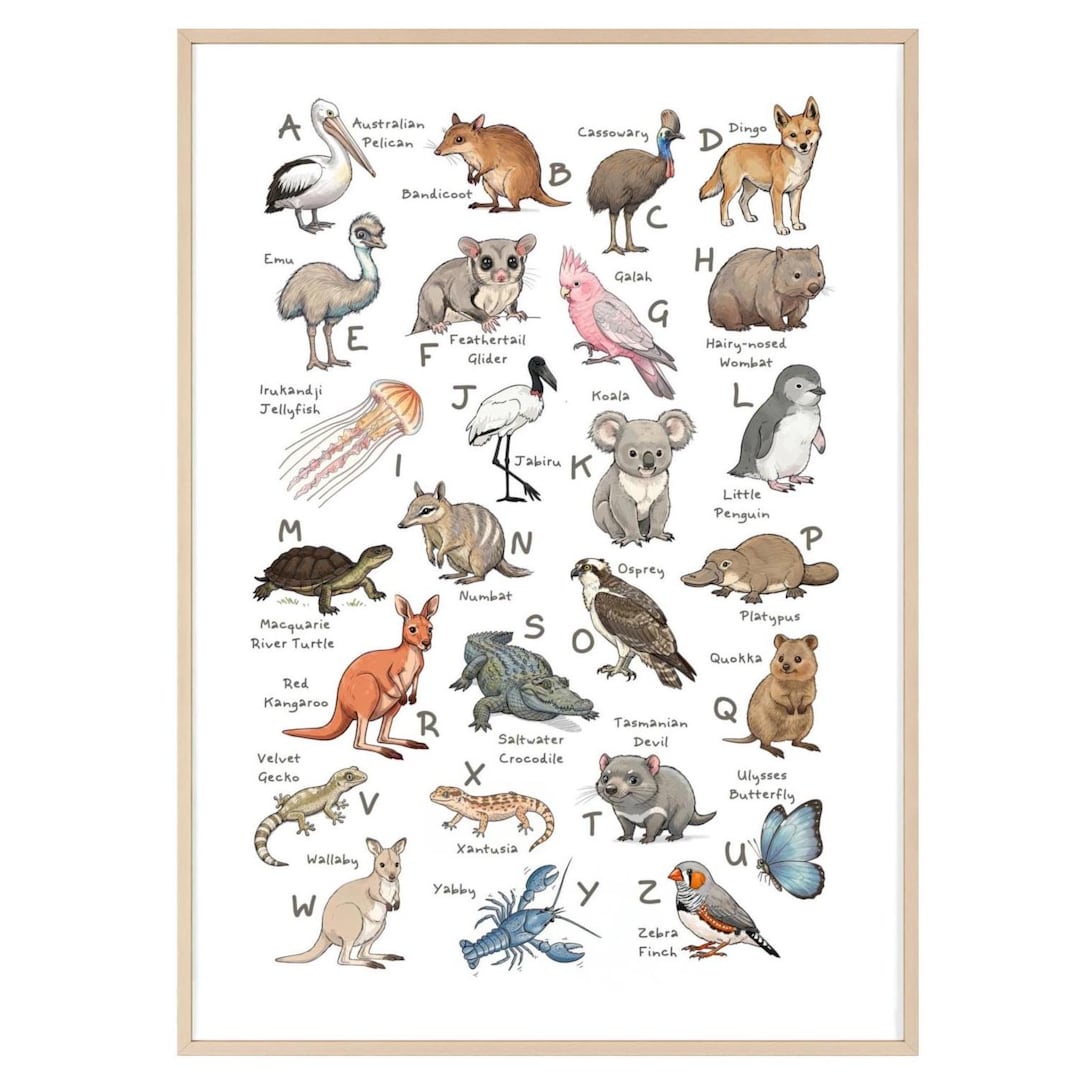 Australia Animal Alphabet Digital Download, Kangaroo ABC Print, Koala ...