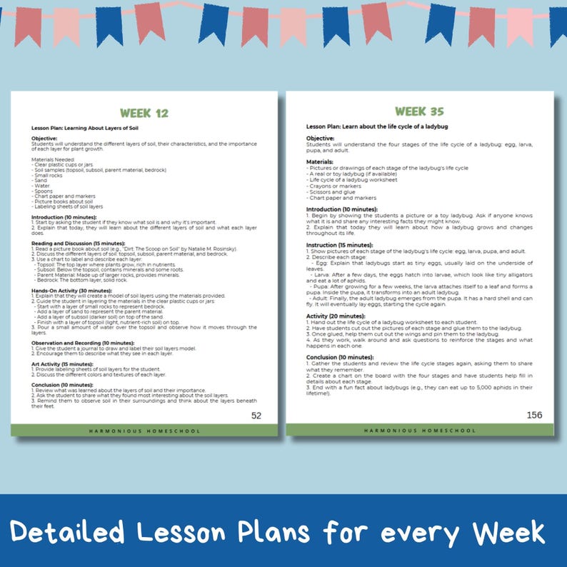First Grade Science Curriculum: 36-week Homeschool Program (digital ...