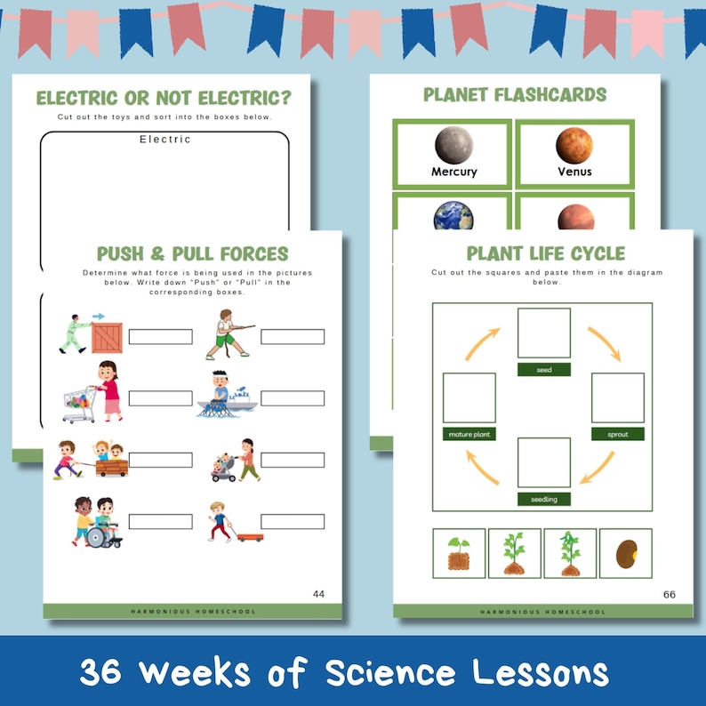 First Grade Science Curriculum: 36-week Homeschool Program (digital ...