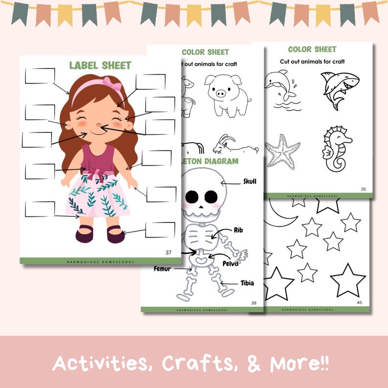 Kindergarten Science Curriculum Kit: Animals, Senses, Weather, and ...