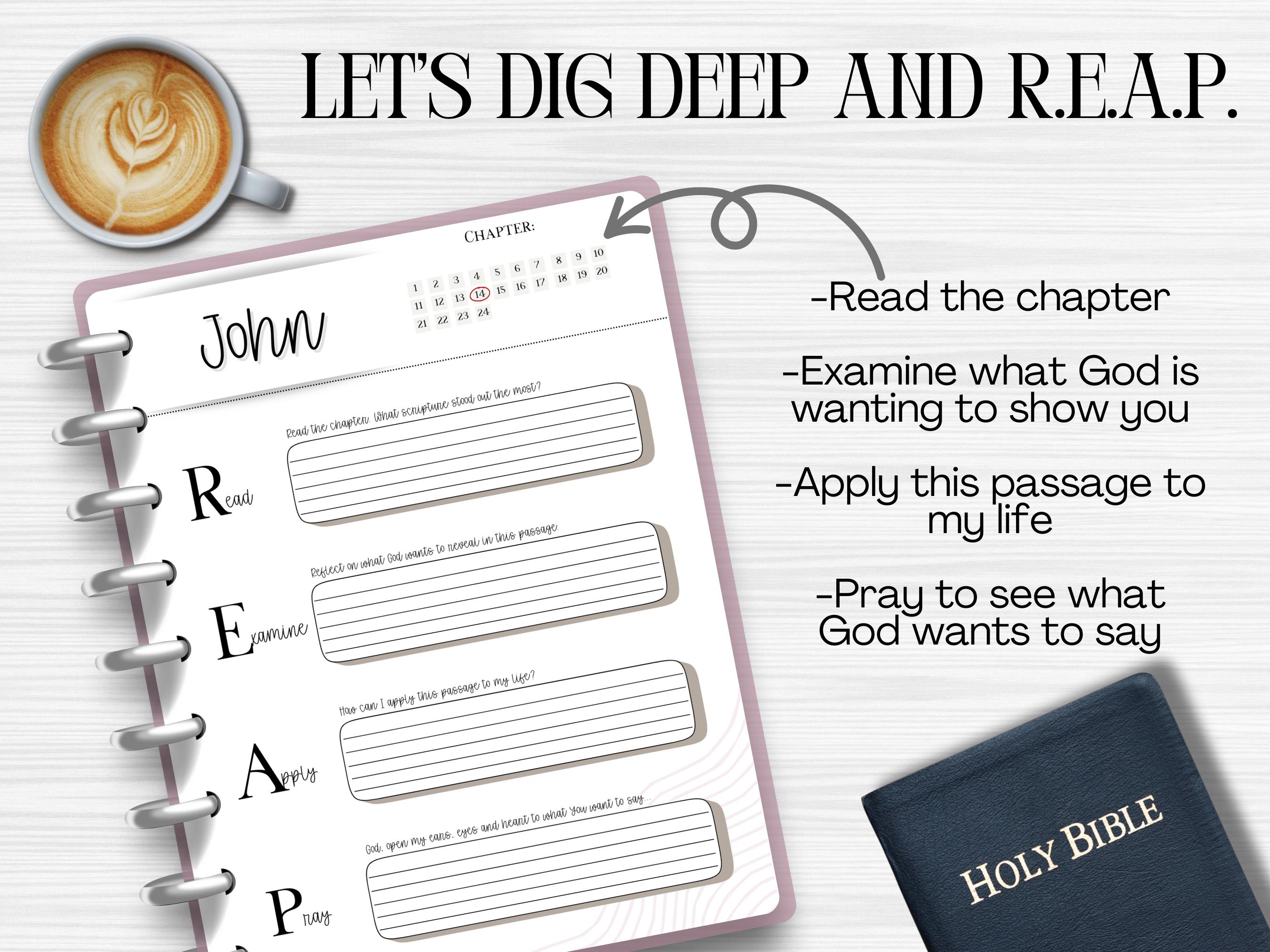 John Bible Study Journal: Chapter-by-chapter Guide (digital Download ...