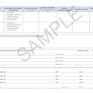 Patient Care Plan, EDITABLE Template: for Nursing Homes, Assisted ...