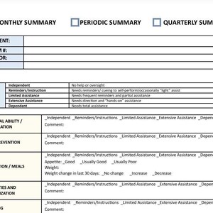 Patient Care Summary Plan Template – Printable PDF for Caregivers ...