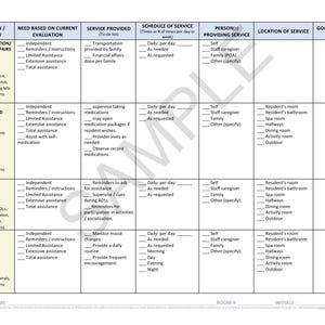 Comprehensive Care Plan Template for Elderly | Nursing Home, Assisted ...