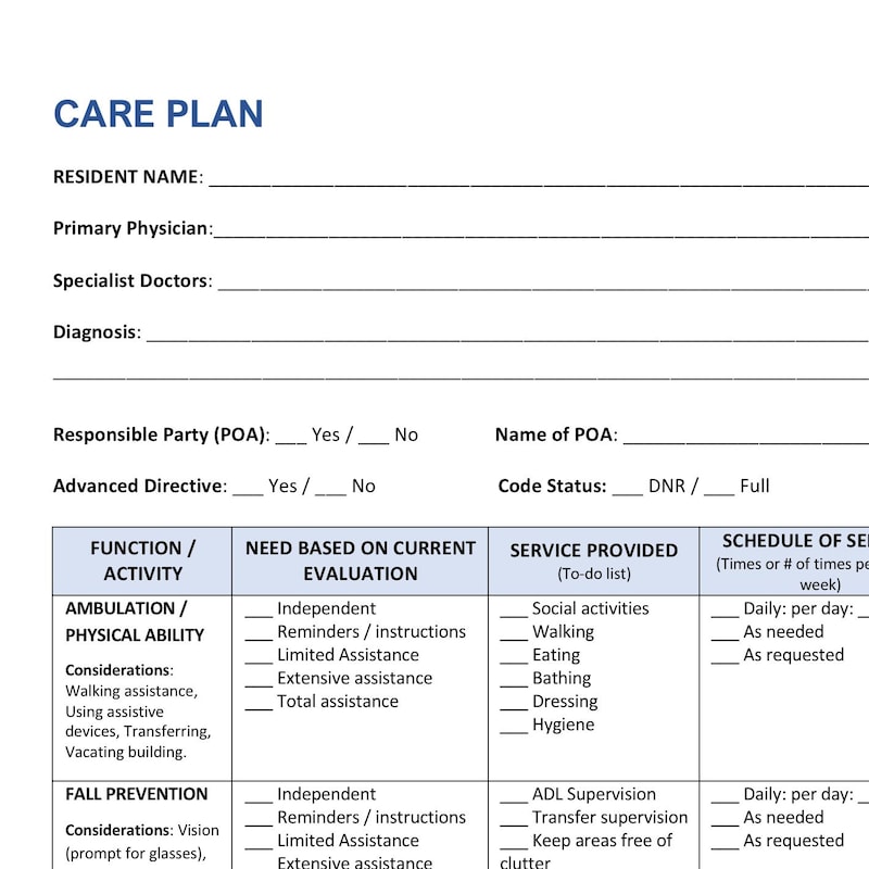 Care Plan Template Elderly - Etsy