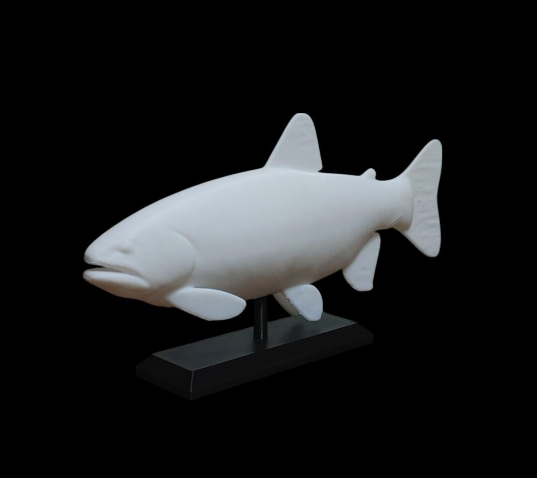 Rainbow Trout Fish Mount Replica – Paint Your Own Fish Blank (6.5"-13 ...