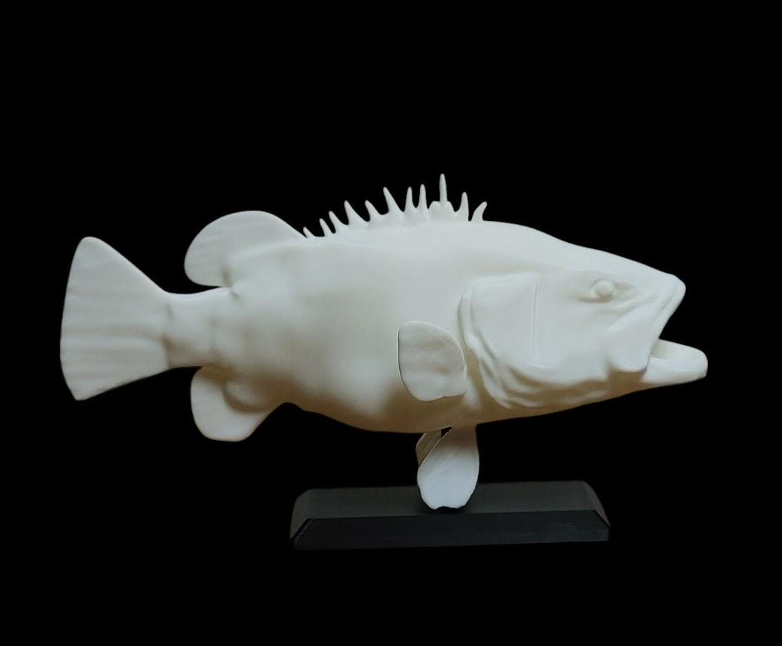 Goliath Grouper Fish Mount 6.5" - 10" Mini - Nautical Decor - Eco ...