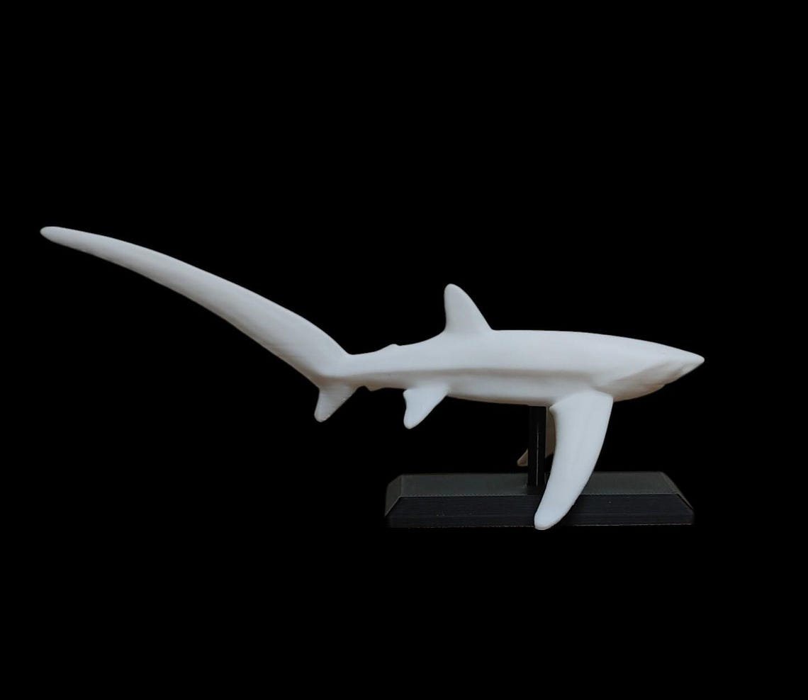 Thresher Shark Mount 6.5" - 13" Mini - Nautical Decor - Eco-friendly 3D ...