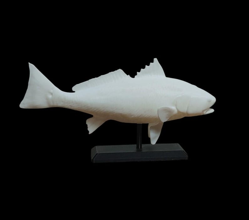 Red Drum Fish Mount 6.5" - 10" Mini - Nautical Decor - Eco-friendly 3D ...