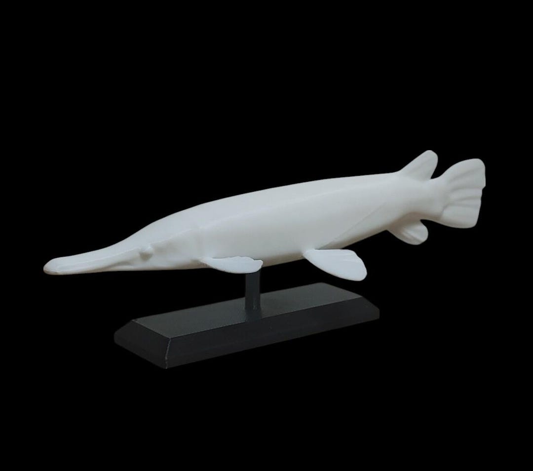 Alligator Gar Fish Mount 6.5" - 13" Mini - Paint Your Own - Nautical ...