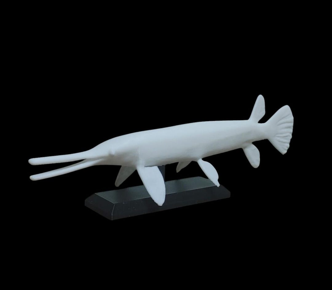 Longnose Gar Fish Mount 6.5"-13" Mini - Freshwater Lake House Decor ...