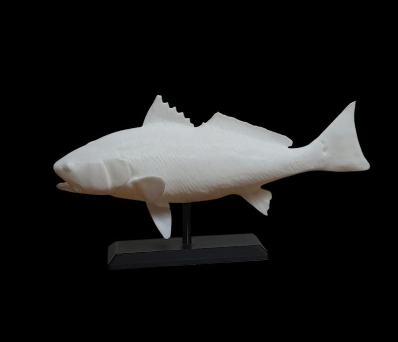 Red Drum Fish Mount 6.5" - 10" Mini - Nautical Decor - Eco-friendly 3D ...