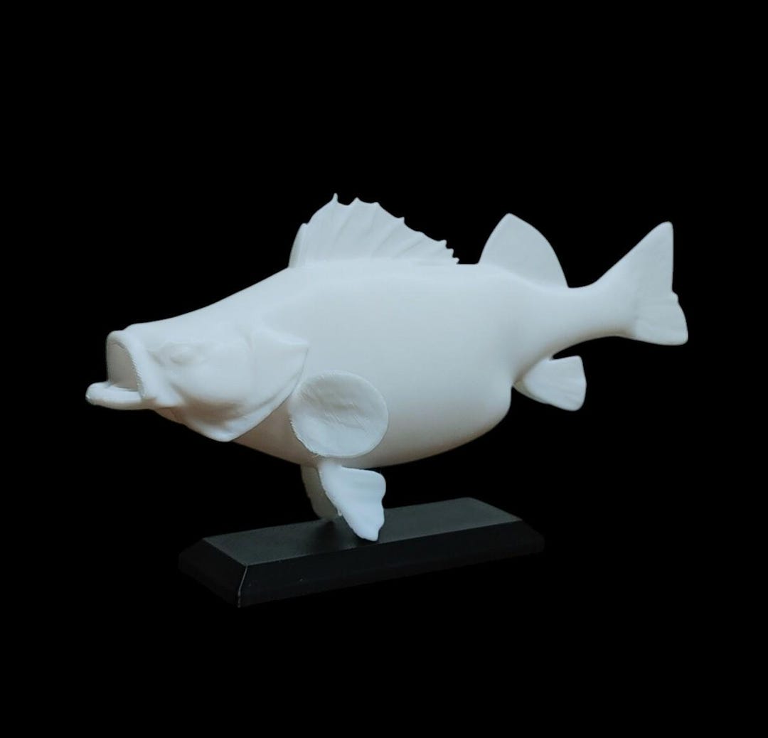 Perch Fish Mount 6.5" - 13" Mini - Freshwater Lake House Decor ...