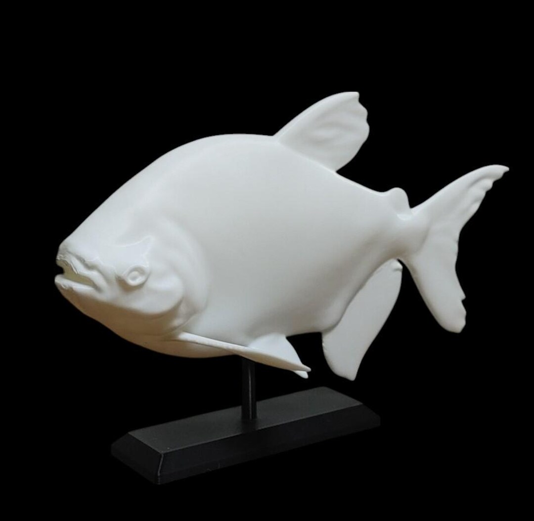 Pacu Fish Mount 6.5" Mini - Freshwater Lake House Decor - Nautical 3D ...