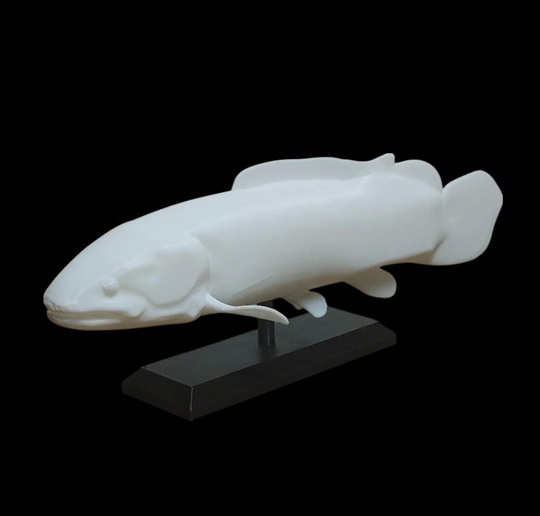 Bowfin Fish Mount 6.5" Mini - Paint Your Own - Nautical Cabin Decor ...