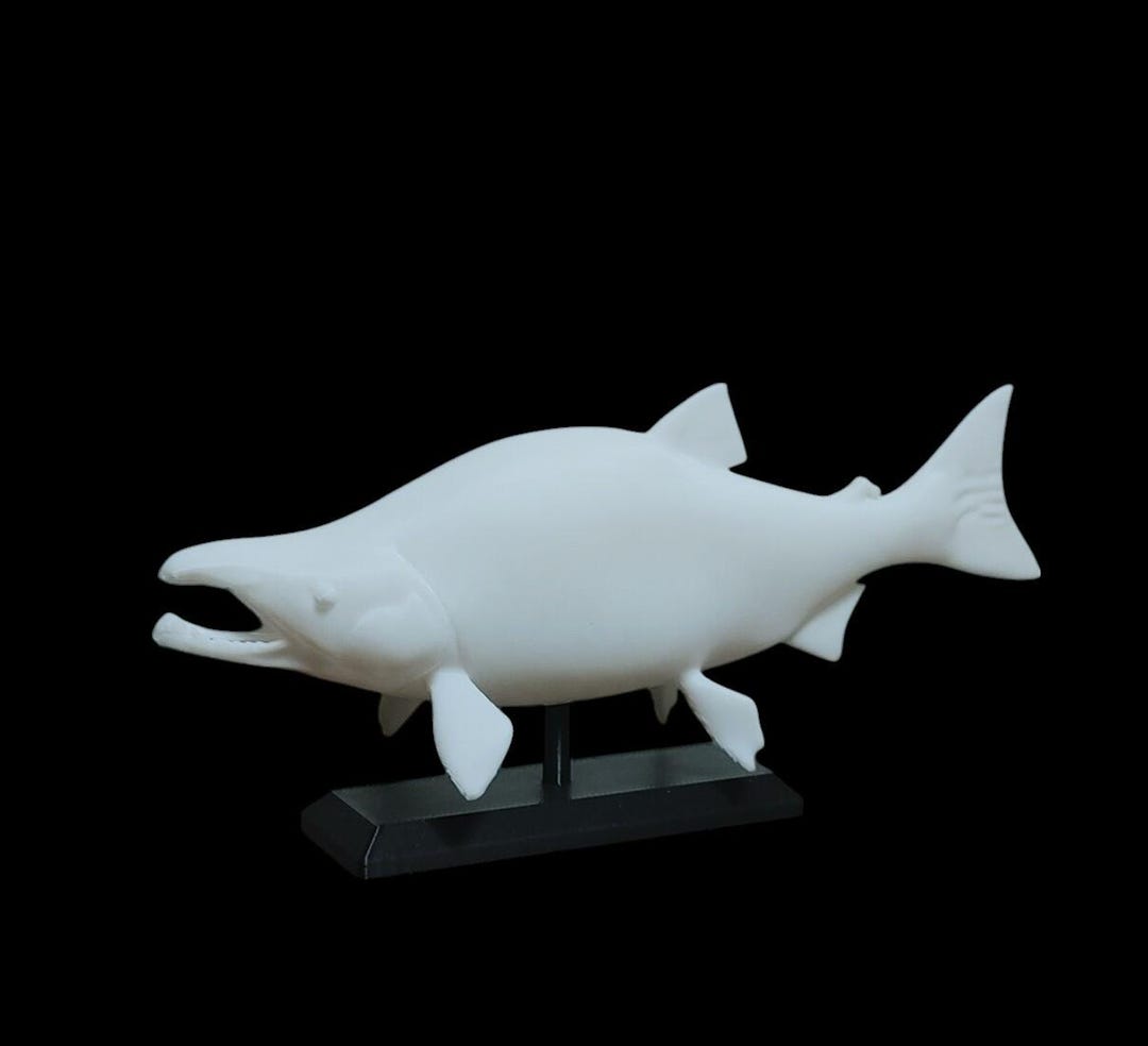 Sockeye Salmon Fish Mount - Mini Mount - Arts and Crafts - Taxidermy ...