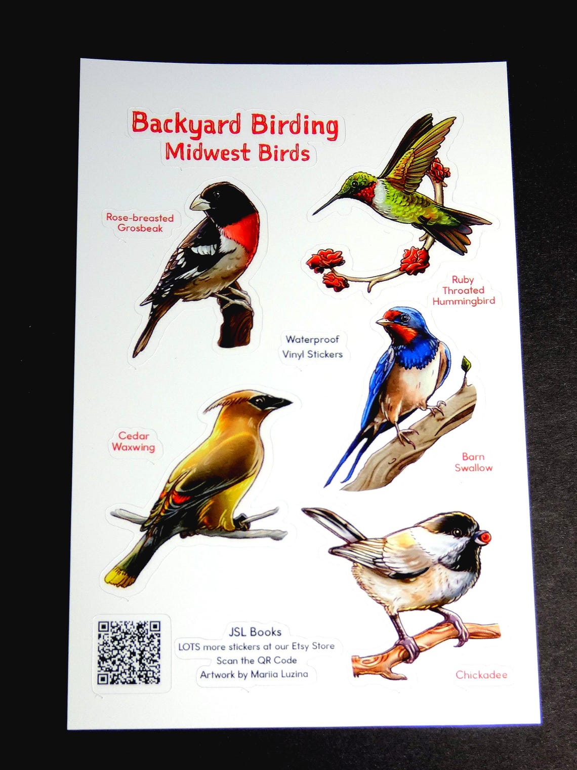 Backyard Birding Sticker Sheet | Midwest Birds | Minnesota Birds ...
