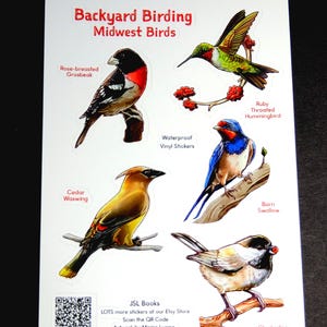 Backyard Birding Sticker Sheet | Midwest Birds | Minnesota Birds ...
