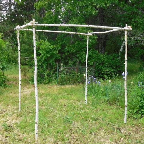 White Birch Wedding Arch | Etsy