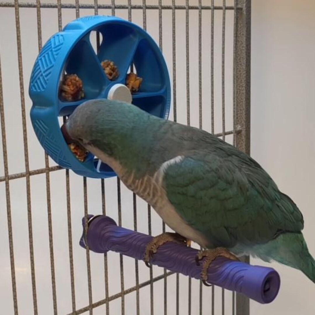 Bird Forage Wheel | Reload From Outside the Cage! | Cage-mounted ...