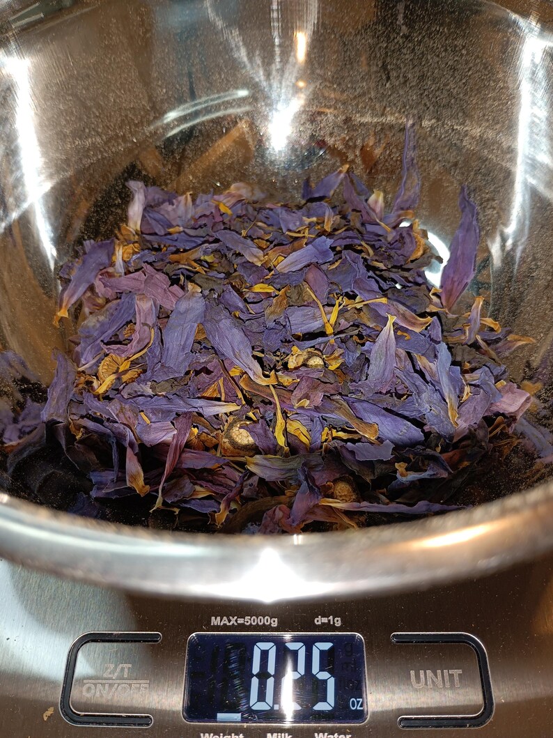 Organic Blue Lotus Flower - Etsy
