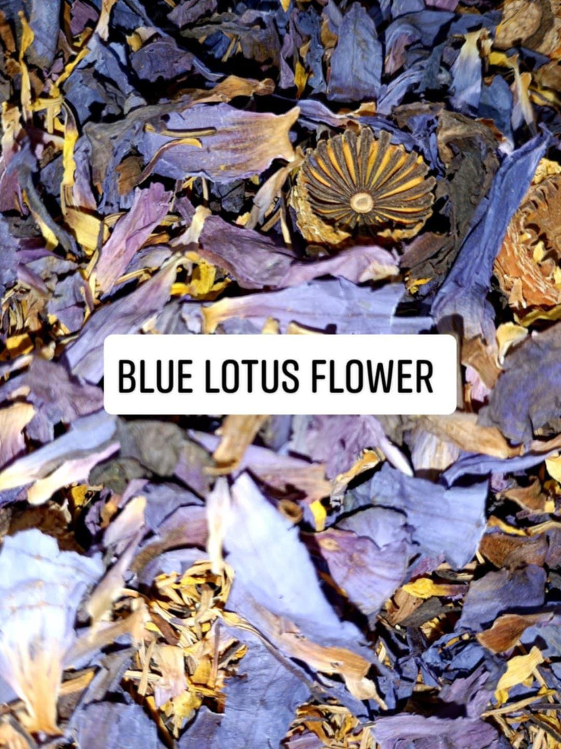 Organic Blue Lotus Flower - Etsy