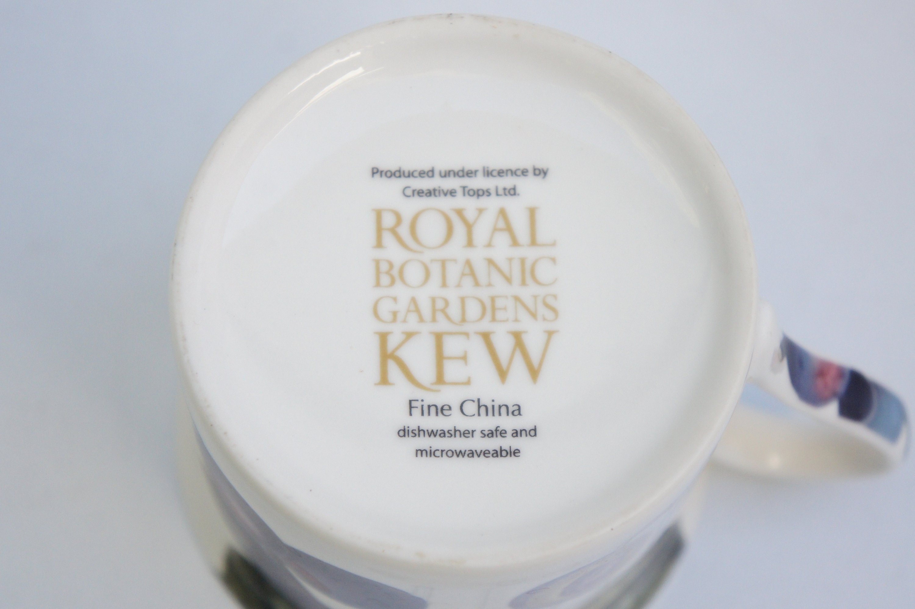Vintage Kew Gardens London Botanical Print Porcelain Cups Mugs ...