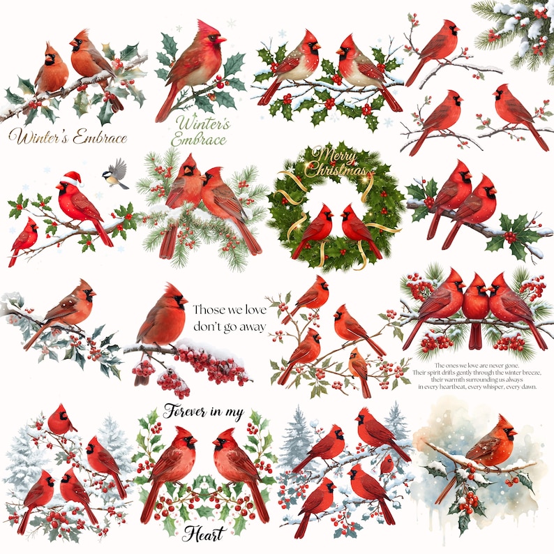 Red Cardinal Christmas Clipart Png Bundle, Cardinal Png, Memorial ...
