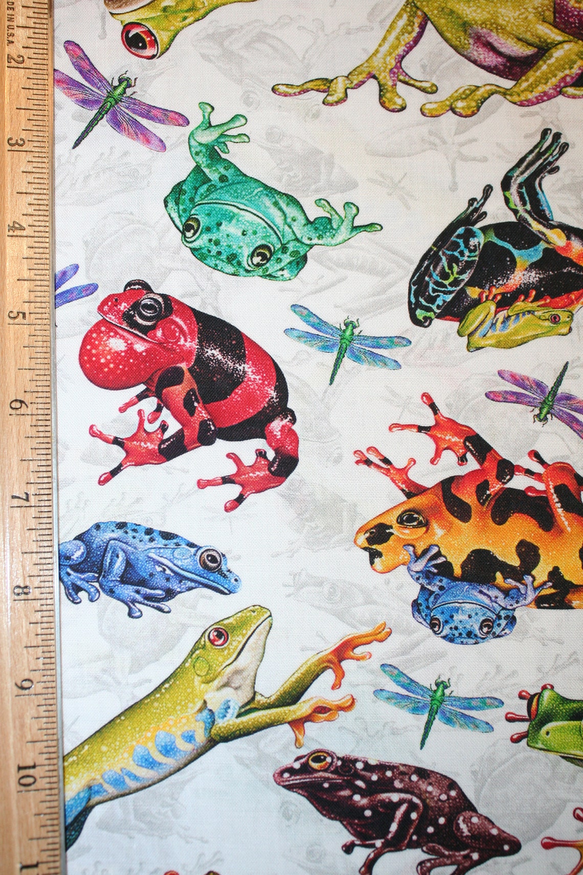 Frog Fabric Bright Rainbow Colors Frogs and Toads Jewels - Etsy