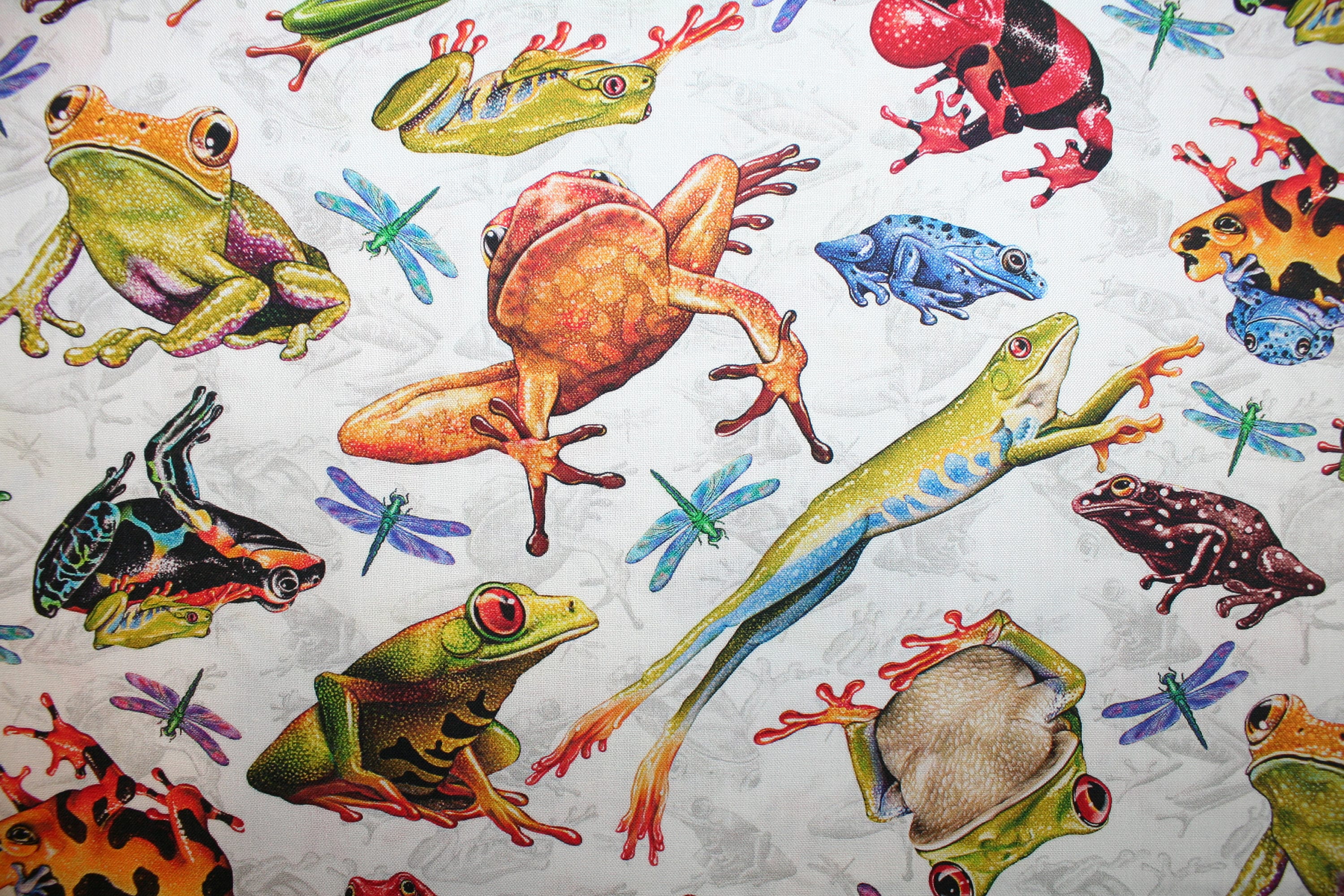 Frog Fabric Bright Rainbow Colors Frogs and Toads Jewels | Etsy
