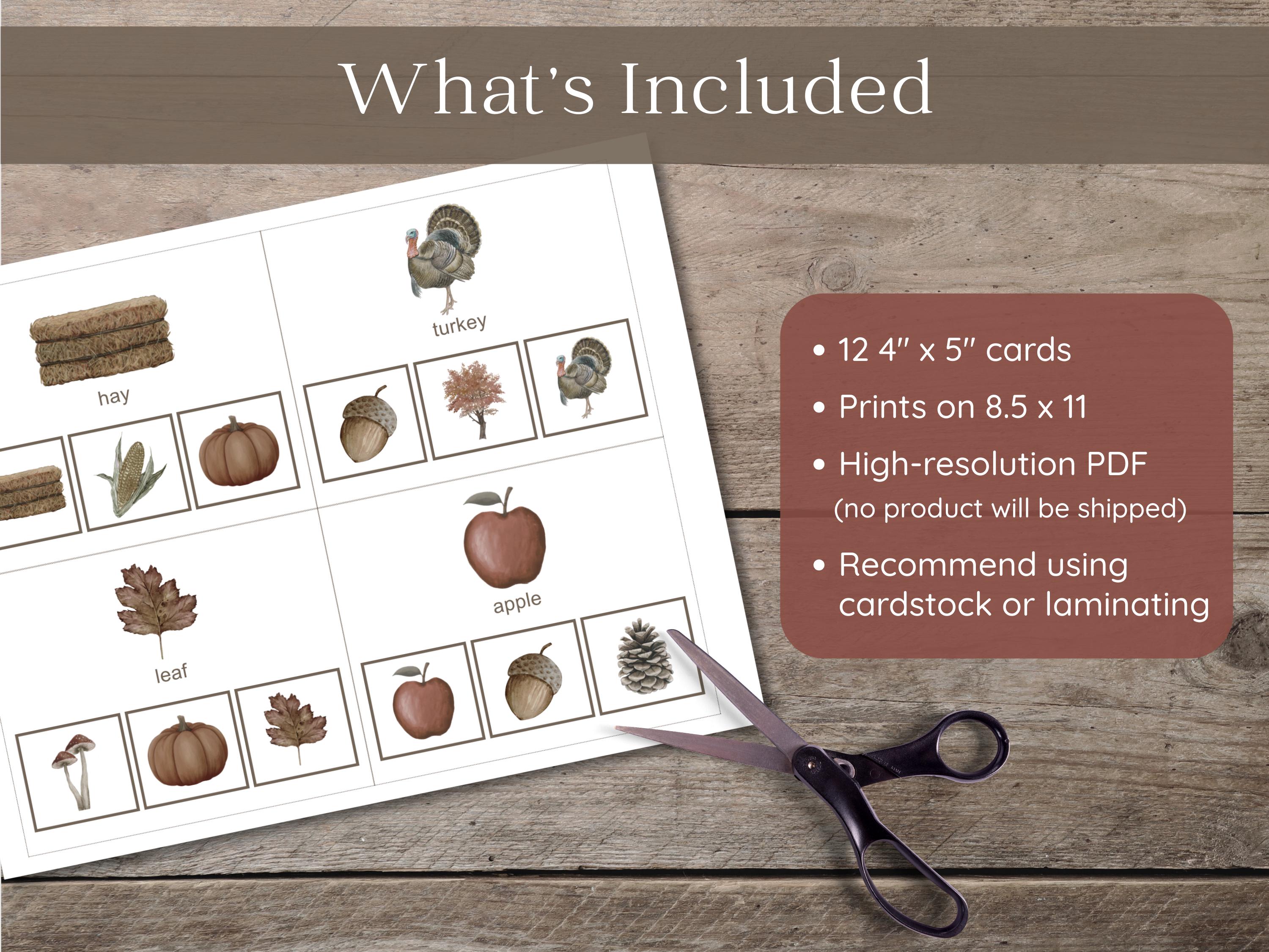 Montessori Fall Clip Cards: Printable Picture Matching Activity for ...