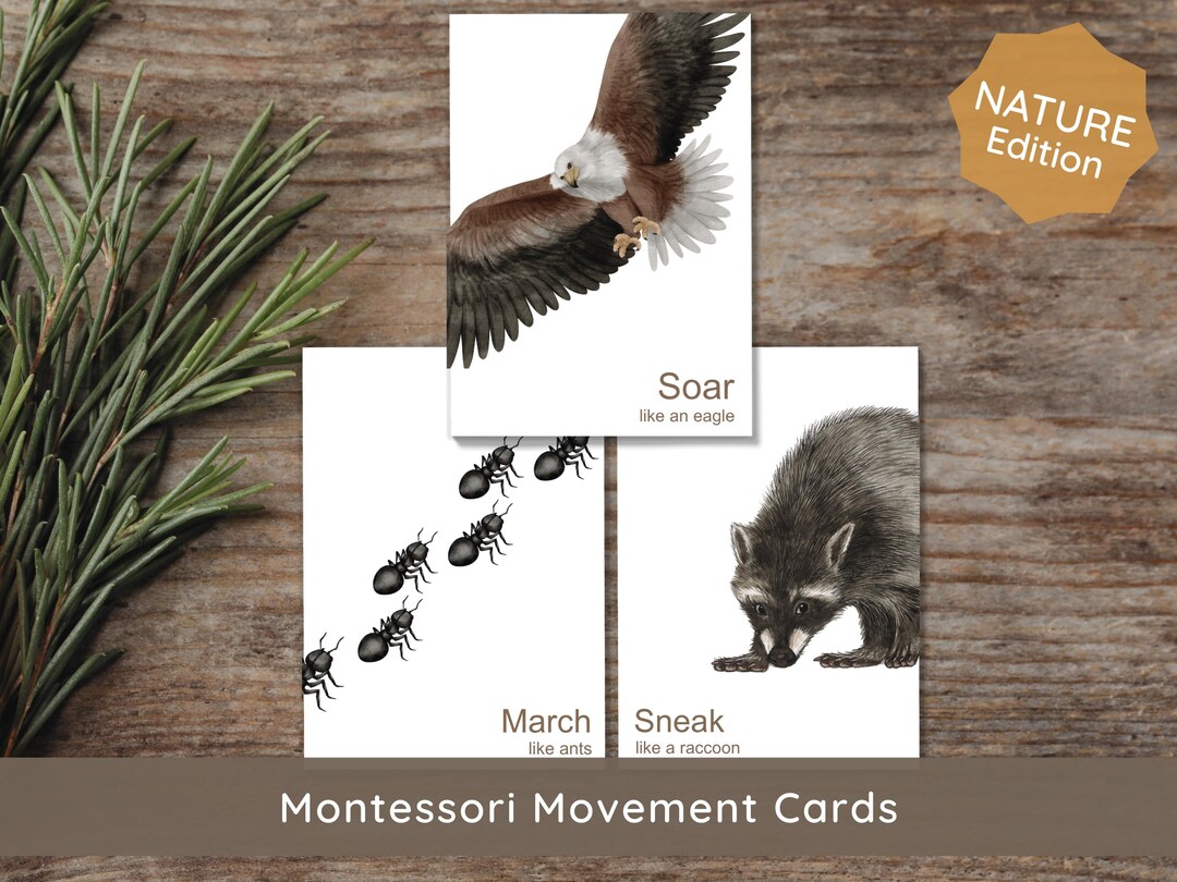 Kids Movement Nature Flash Cards | Montessori Printable Cards ...