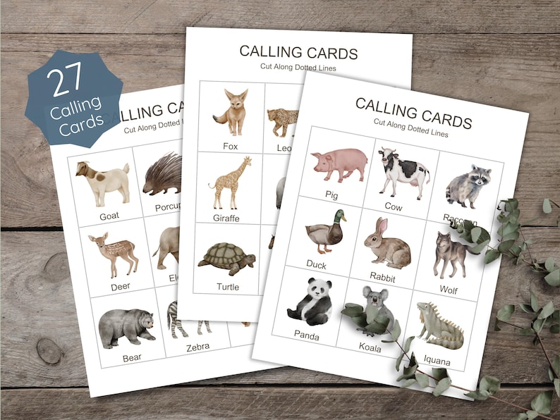 Printable Bingo Cards Bible Game: Noah’s Ark Christian Homeschool ...