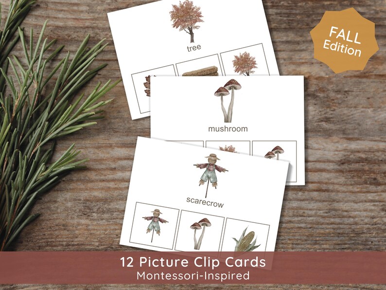 Montessori Fall Clip Cards: Printable Picture Matching Activity for ...