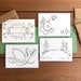 Color Your Own Cards - Blank | Coloring Cards Kit for Adults | Boxed ...
