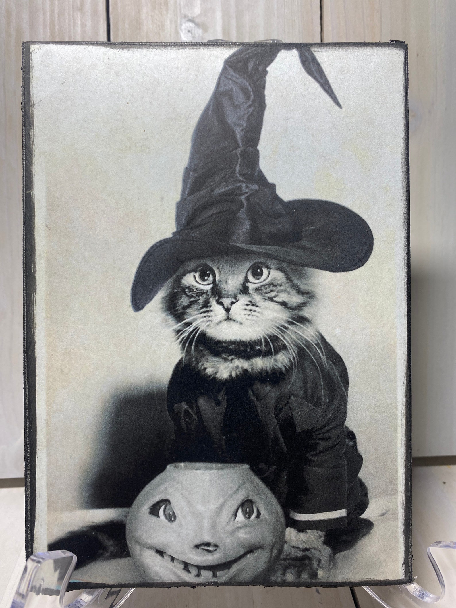 Vintage Halloween Witch Cat Sign Victorian Cat Witch Wall - Etsy