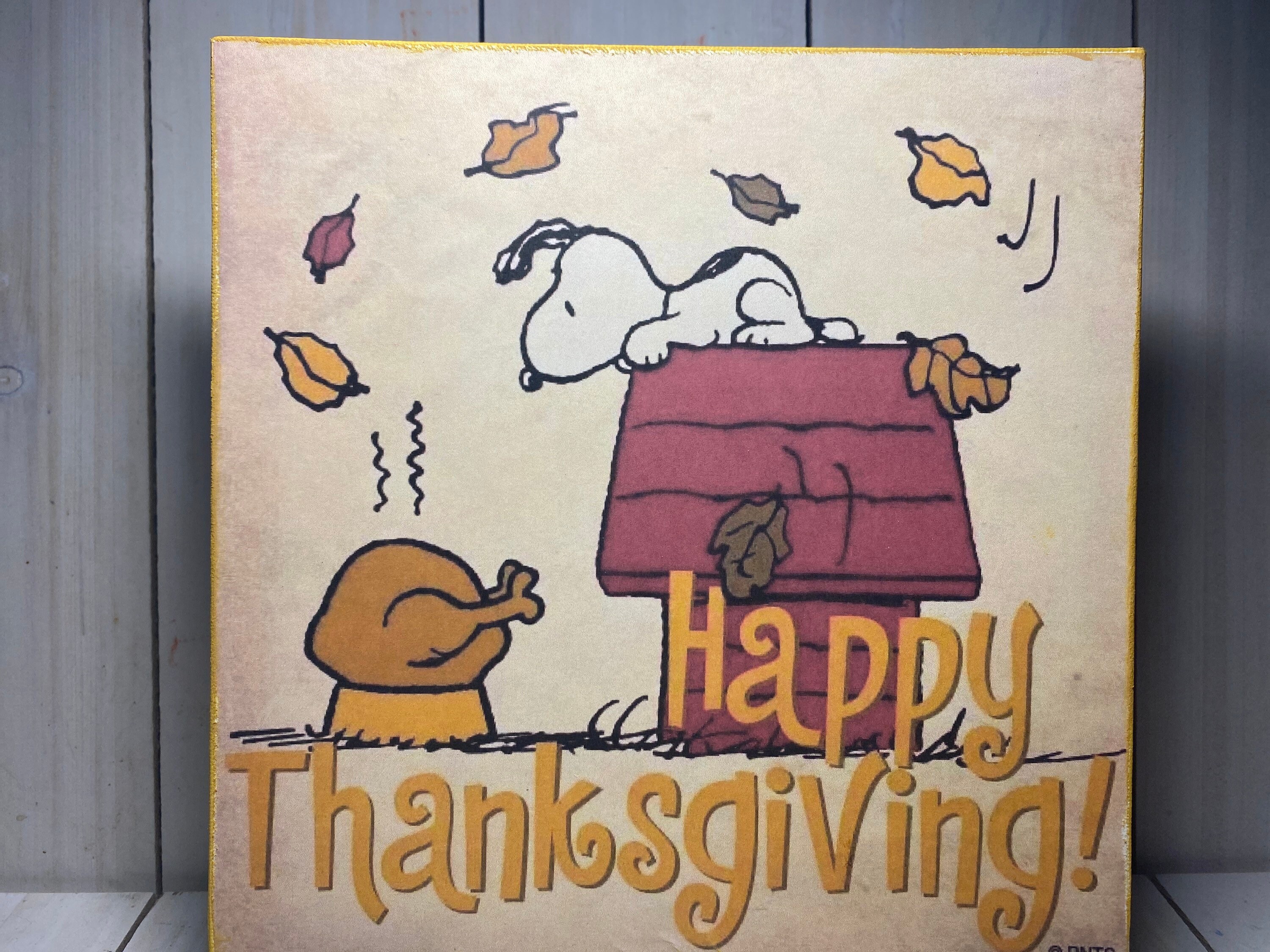 Cute Snoopy Thanksgiving Pictures