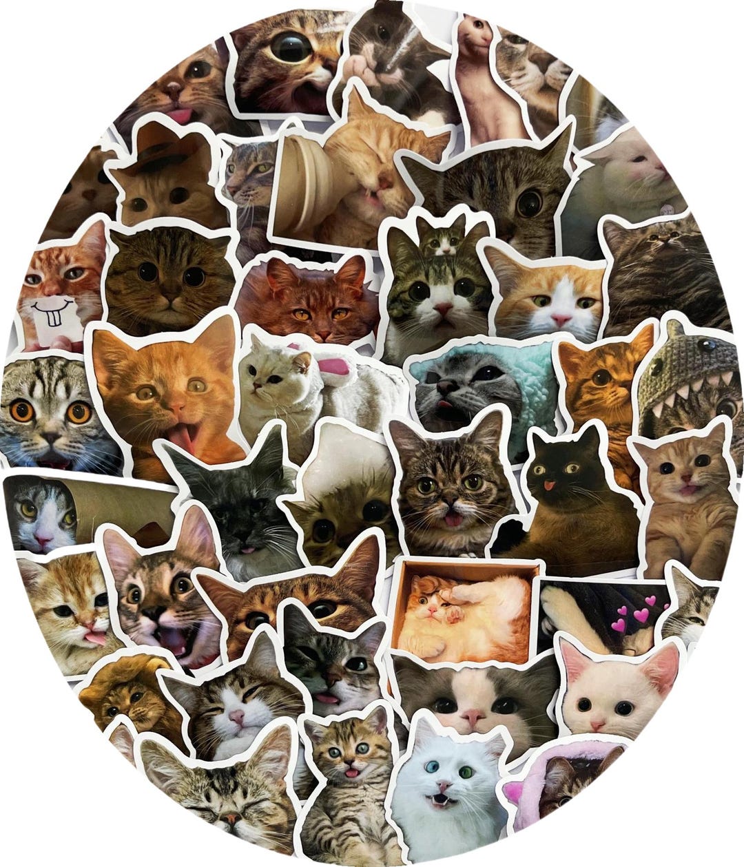 Cute Cats Stickers, Viny Stickers,10-50pcs Random Pack,free Shipping ...