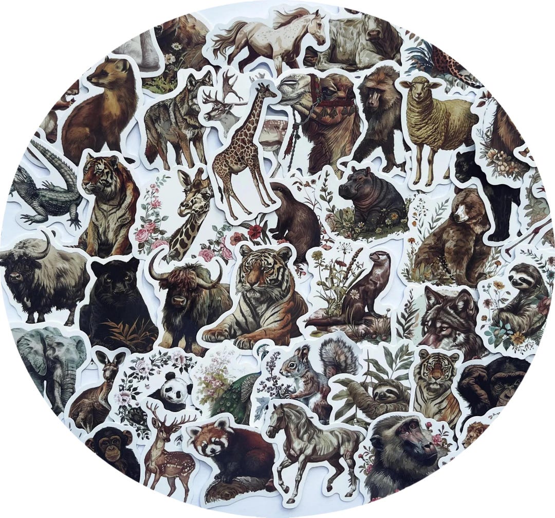 Zoo Animal Stickers, Viny Stickers,10-50pcs Random Pack, FREE Shipping ...