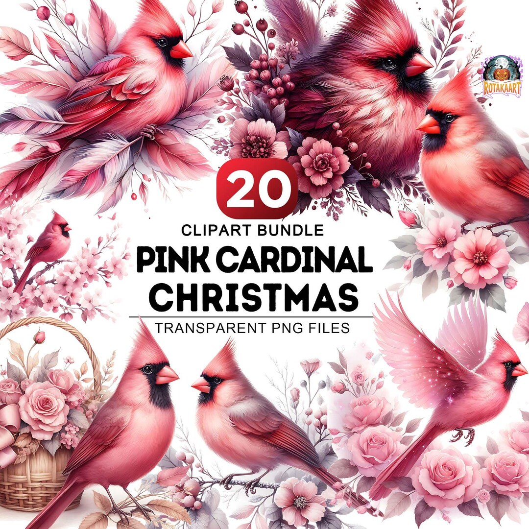 Watercolor Pink Cardinal Clipart, 30 Png Pink Birds Bundle, Christmas ...