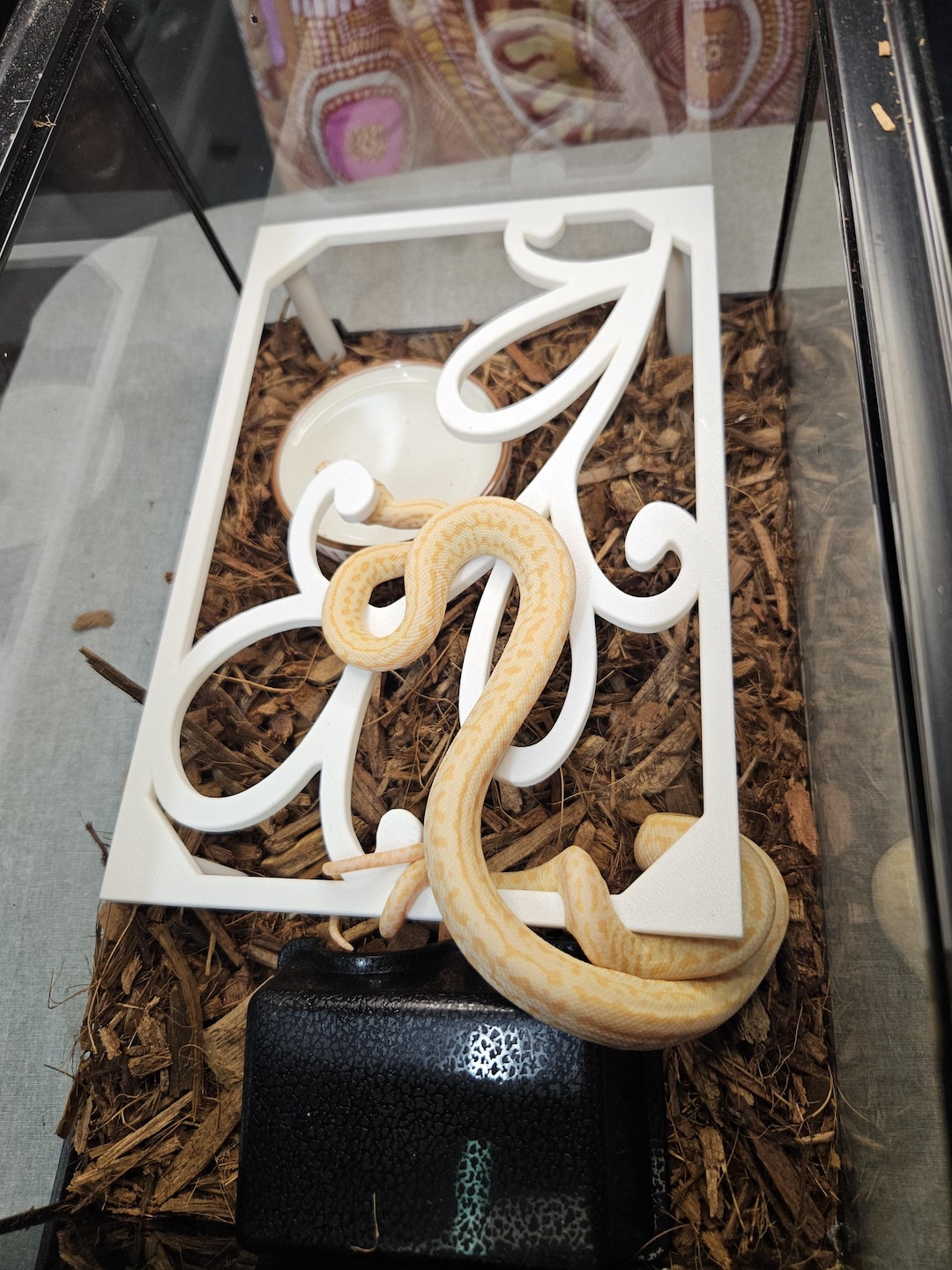 Snake Perch, 3d Printed Perch, Reptile Accessory, Snake Perch With ...