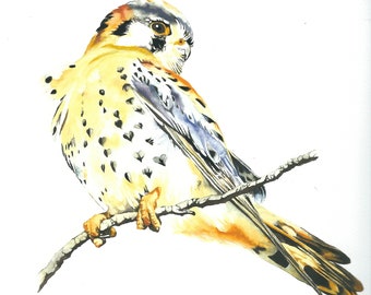 Original Wildlife Artwork by René C. Reyes by reyespaintings